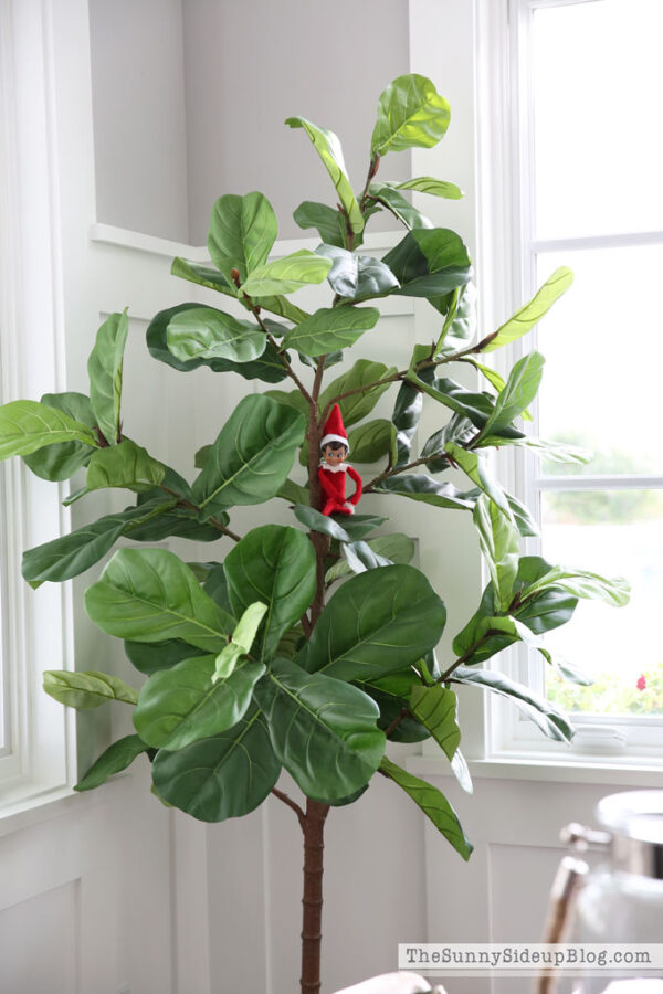Kitchen Christmas Decor! - The Sunny Side Up Blog