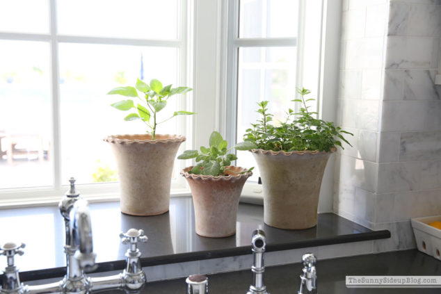 Kitchen decor ideas for Spring! - The Sunny Side Up Blog