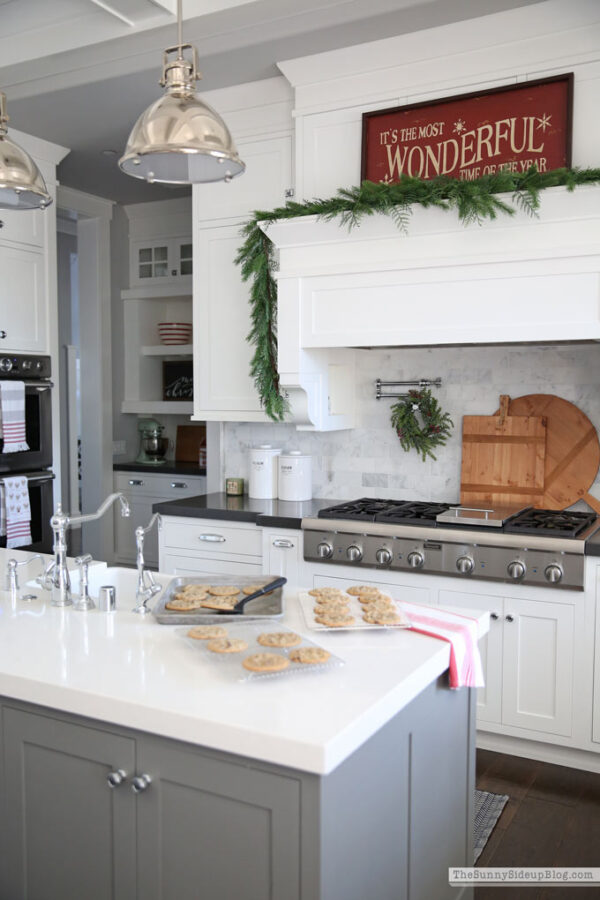 How to Cook Perfect Chicken (and kitchen favorites!) - The Sunny Side ...