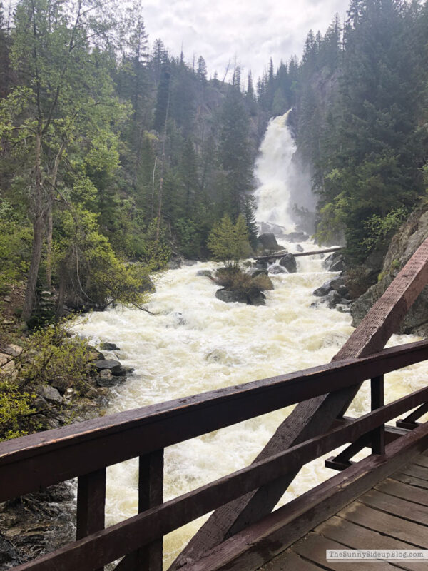 Our Trip To Steamboat Springs, Colorado - The Sunny Side Up Blog