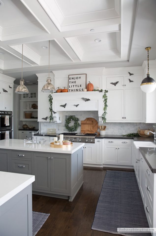 Latest at the house - The Sunny Side Up Blog