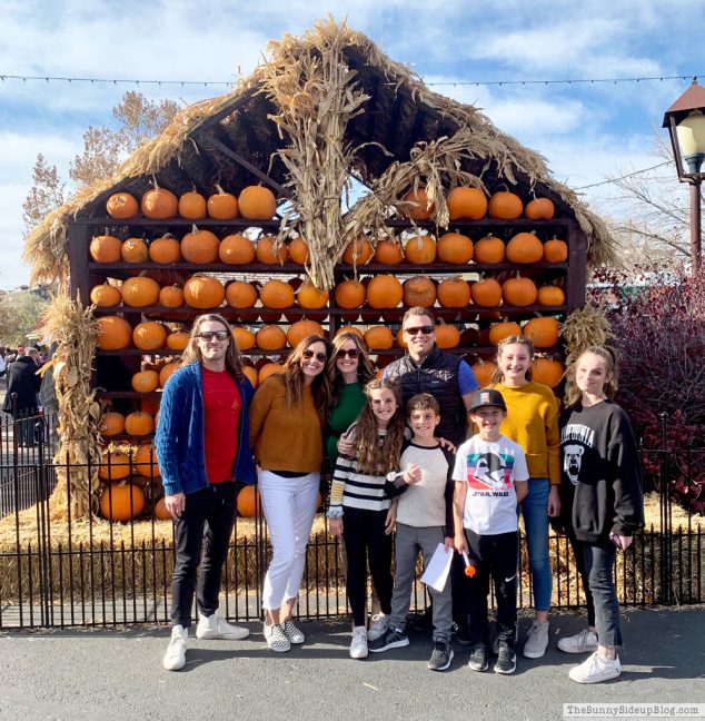 Fall Wrap Up - The Sunny Side Up Blog