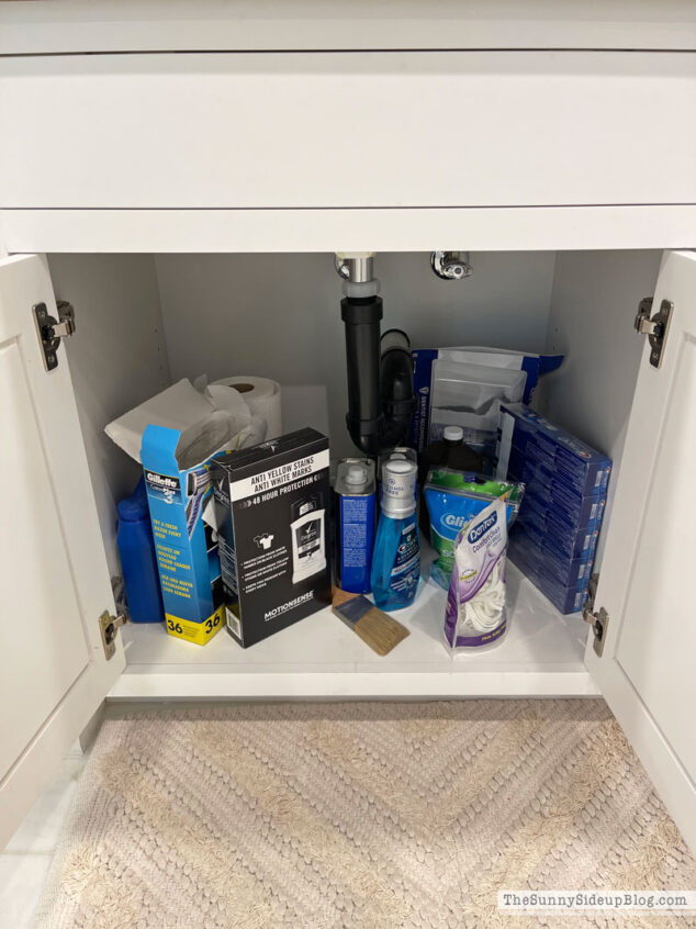 Organized Bathroom Progress! - The Sunny Side Up Blog