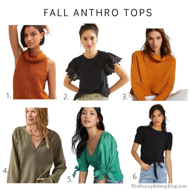 Favorite Fall tops! - The Sunny Side Up Blog