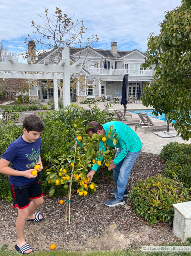 Holiday Re-Cap/N Sale - The Sunny Side Up Blog