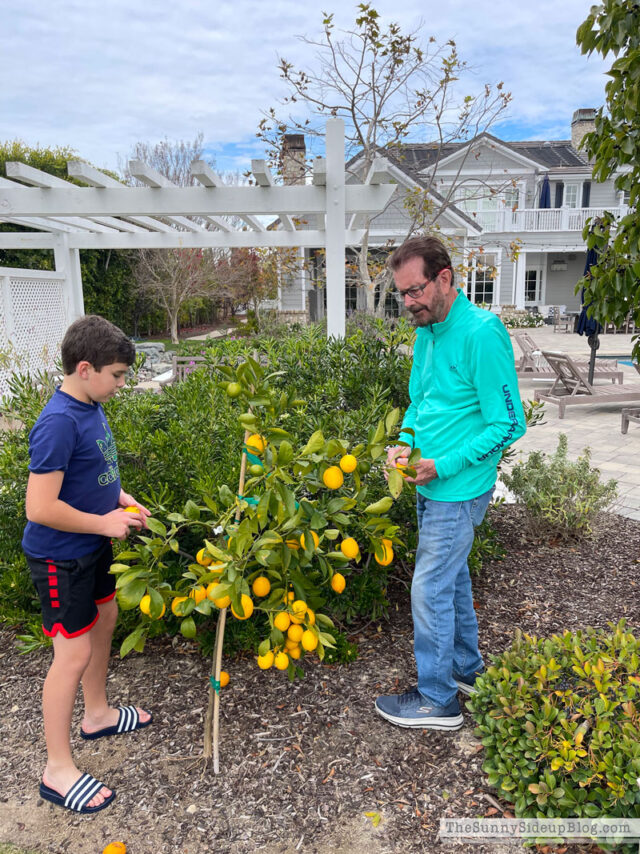 Holiday Re-Cap/N Sale - The Sunny Side Up Blog