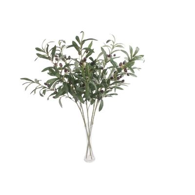 Olive Branch Stems - The Sunny Side Up Blog