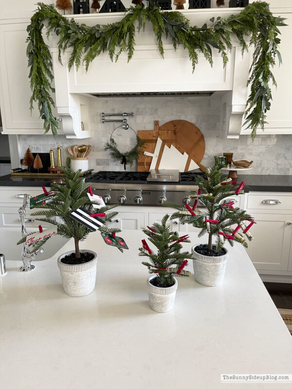 Money tree, gift card tree and fun gift ideas! - The Sunny Side Up Blog