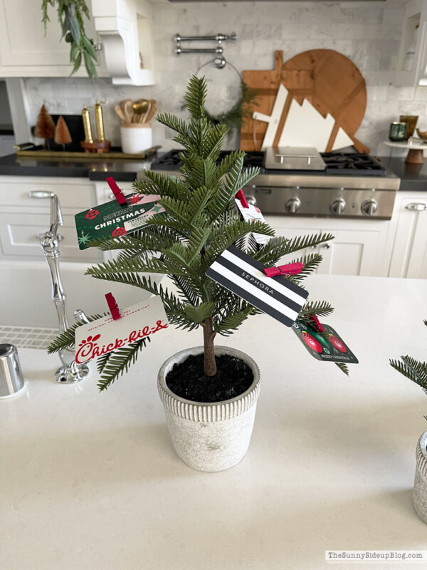 Money tree, gift card tree and fun gift ideas! - The Sunny Side Up Blog
