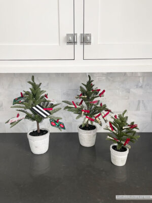 Money tree, gift card tree and fun gift ideas! - The Sunny Side Up Blog