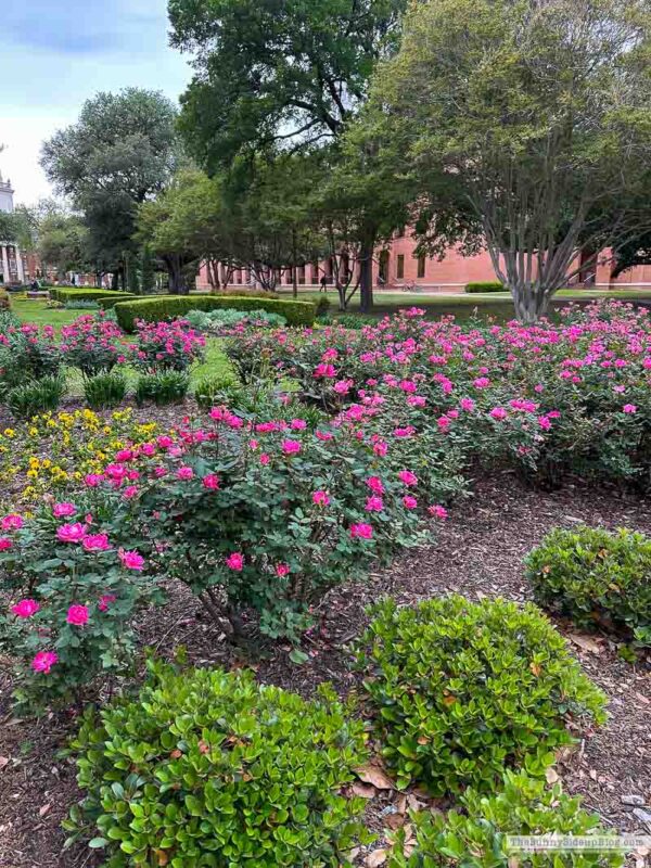 Spring Coffee Table & Spring Break! - The Sunny Side Up Blog