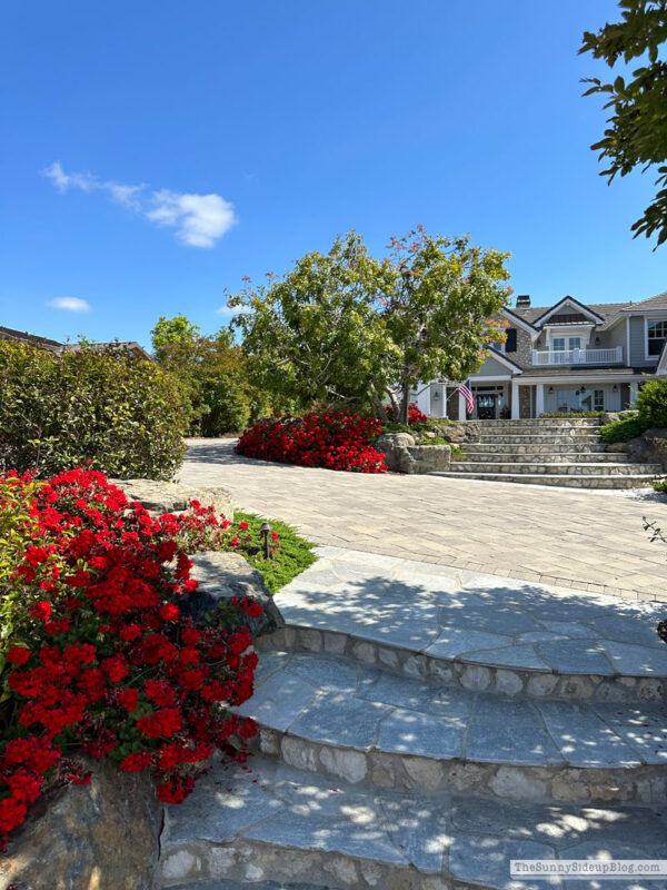Patriotic Porch - The Sunny Side Up Blog
