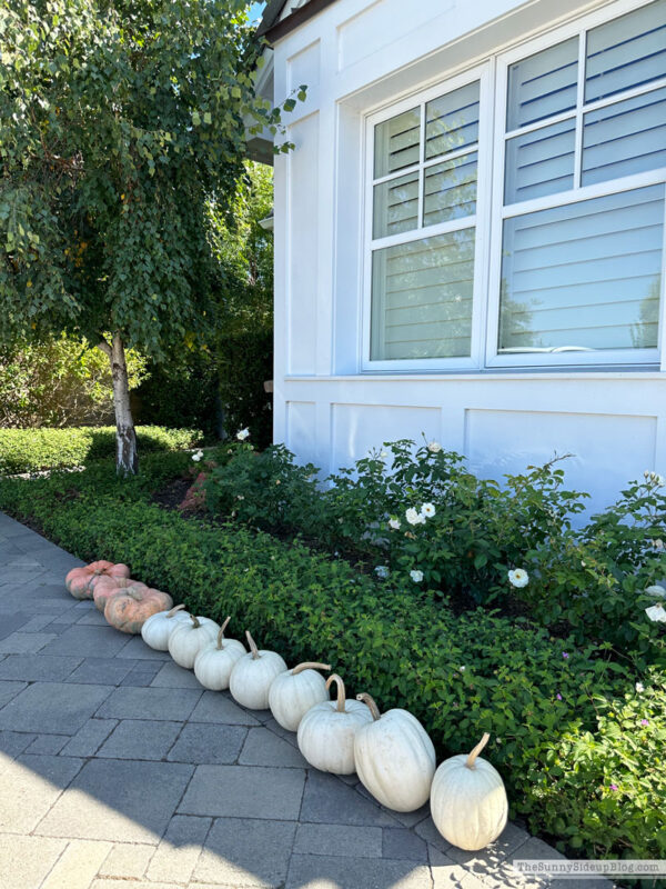 Cozy additions to the theatre room - The Sunny Side Up Blog