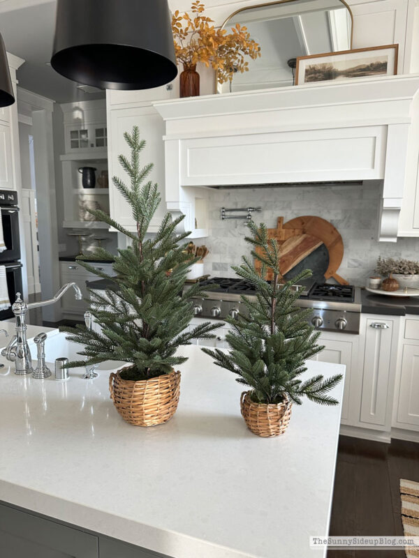 Wreaths, Trees and more holiday favorites - The Sunny Side Up Blog