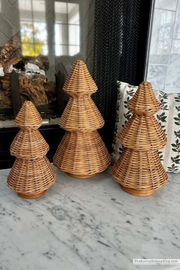 Saturday 6 - The Sunny Side Up Blog